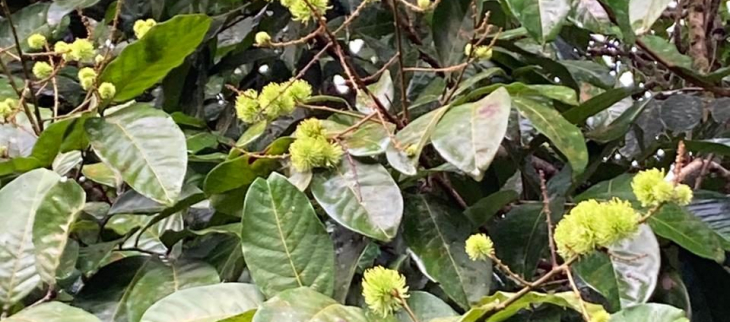 UN TEMPS PLUS HUMIDE À PARTIR DE CE WEEK-END par Météo-France
